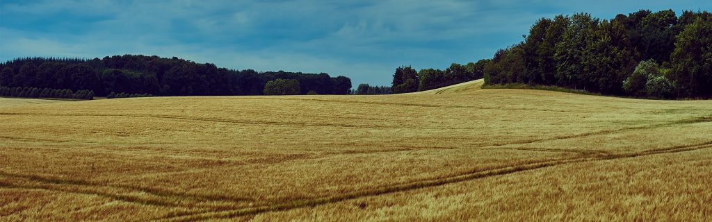 landbrug-wedellsborg-frijsenborg - Wedellsborg